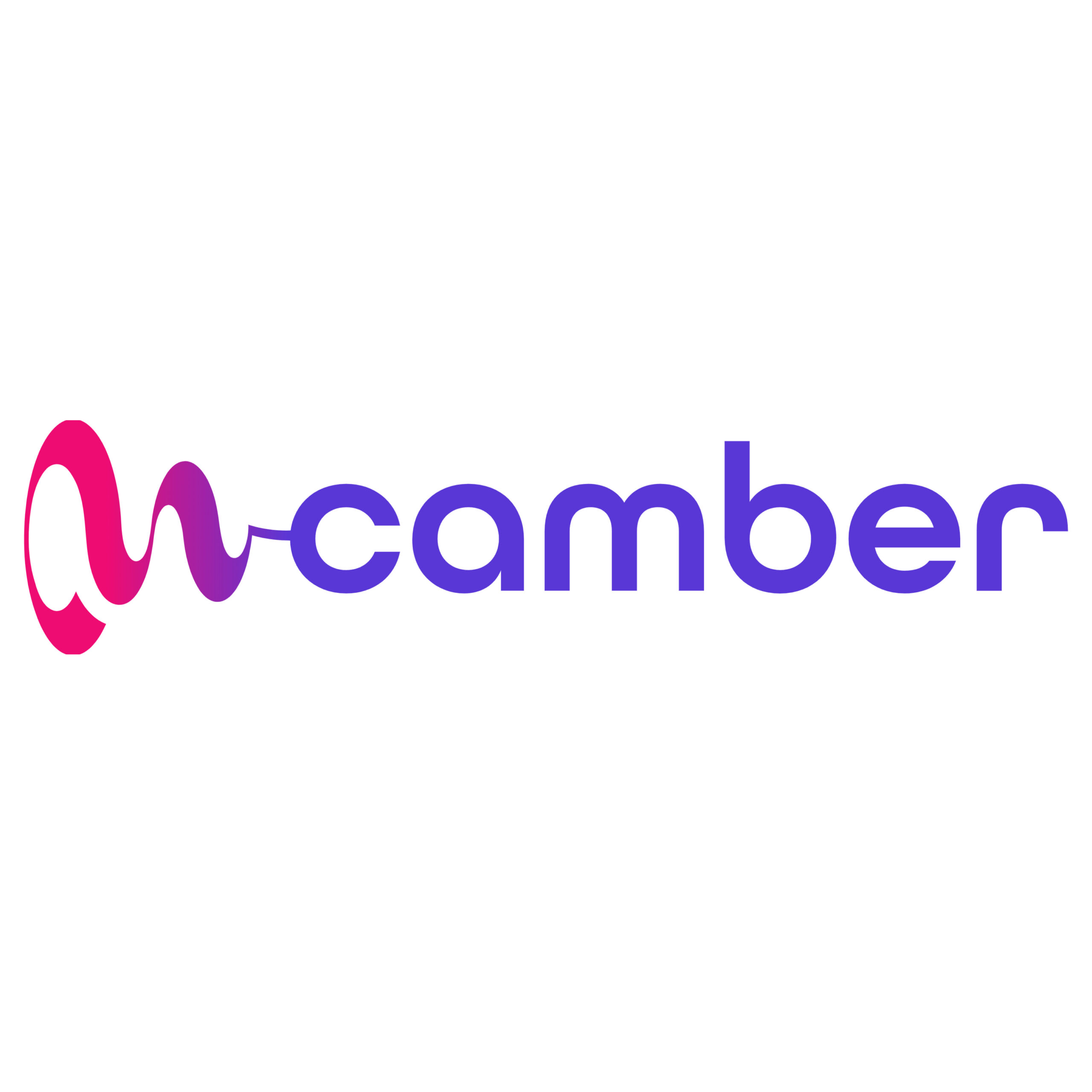 CAMBER - I-SENSE Group